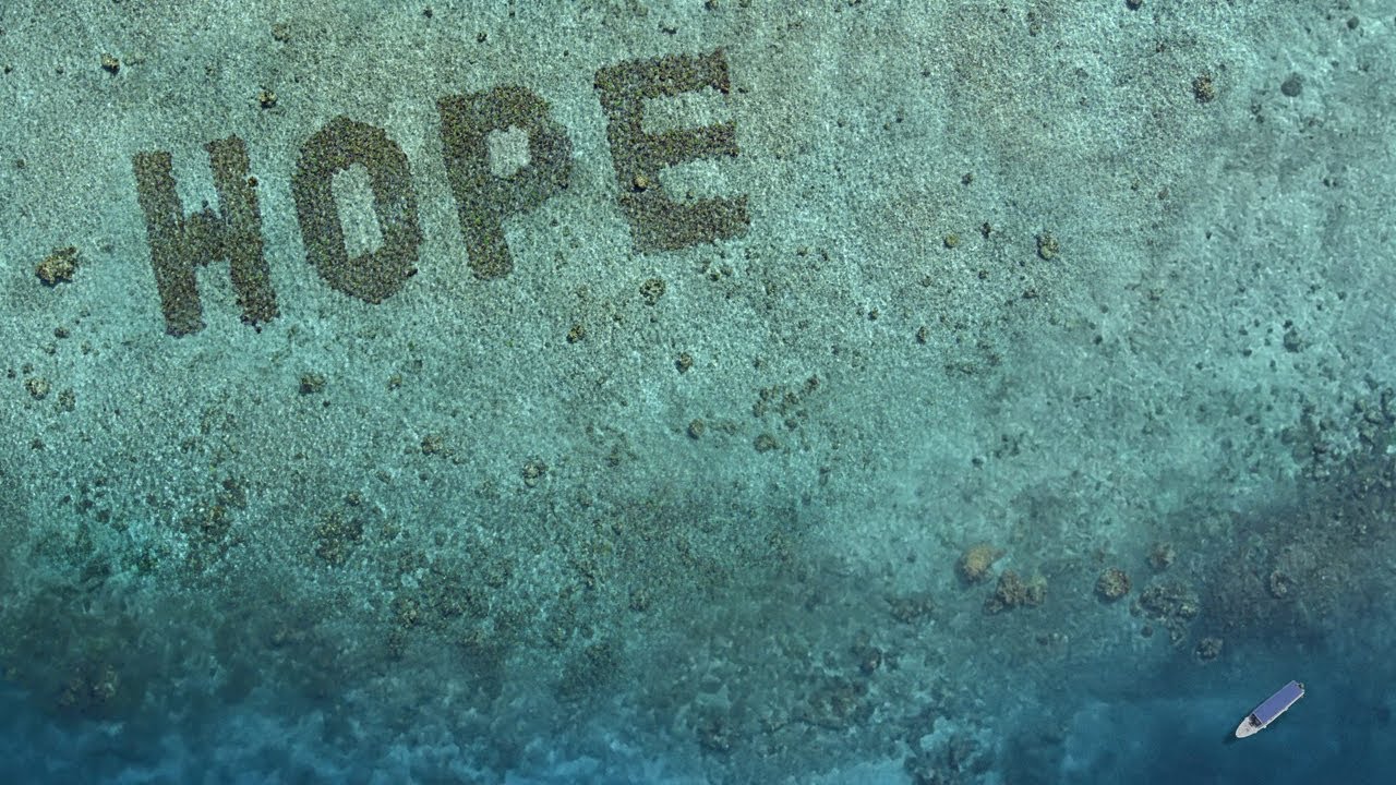 Sheba – Hope Reef: a living billboard made of coralLLLLITL