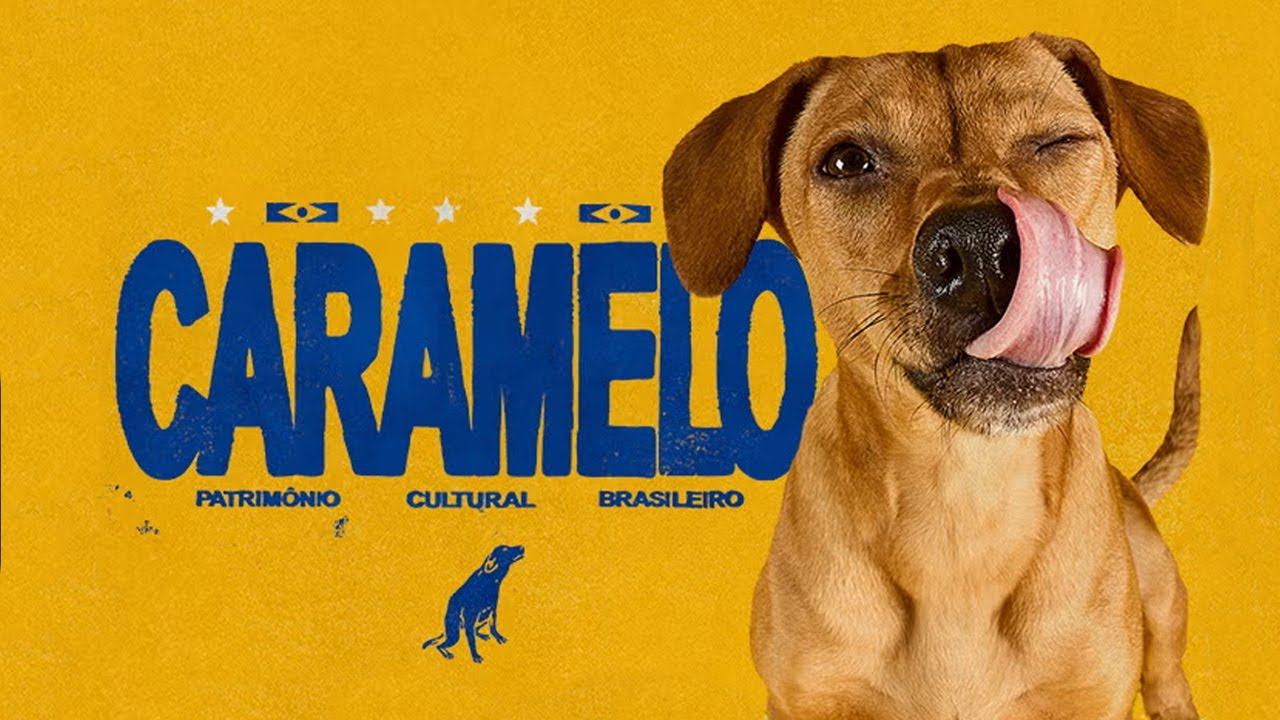 Pedigree – Caramelo: Shifting the Narrative on Mixed-Breed DogsLLLLITL